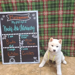 Veterinary First Visit Chalkboard Vet Visit Chalkboard Pets First Visit ...