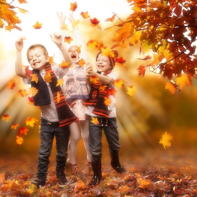 Maple Morning Digital Photography Background Fall Autumn Leaves for ...