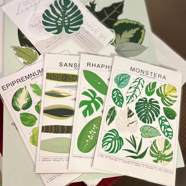 Scindapsus Plant Species Art Print | Houseplant Artwork Wall Decor ...