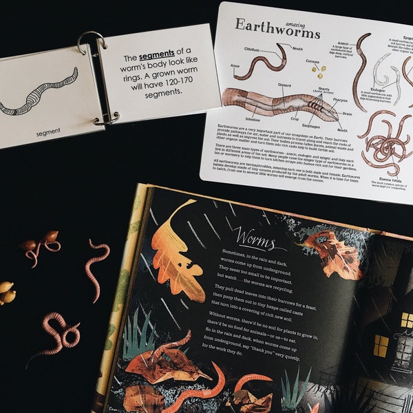 Earthworm Science Printable - Educational Art - 8.5 X 11 and A4 Sized ...