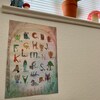 Wild Alphabet Poster for Waldorf School and Homeschool. Letter Writting ...