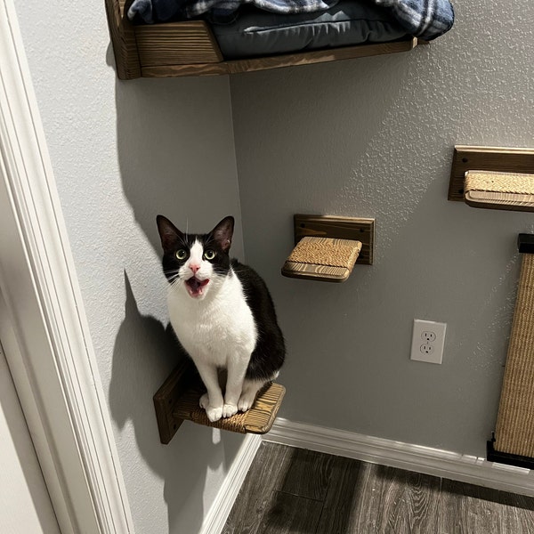 Cat Bed, Corner Cat Perch, Cat Wall Furniture, Cat Shelves, Cat Bed ...