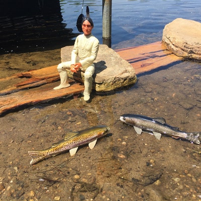 Realistic Brook Trout Replica - Etsy