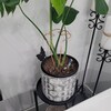 Plant Propagation Side Car Plant Buddy Test Tube Prop Station - Etsy