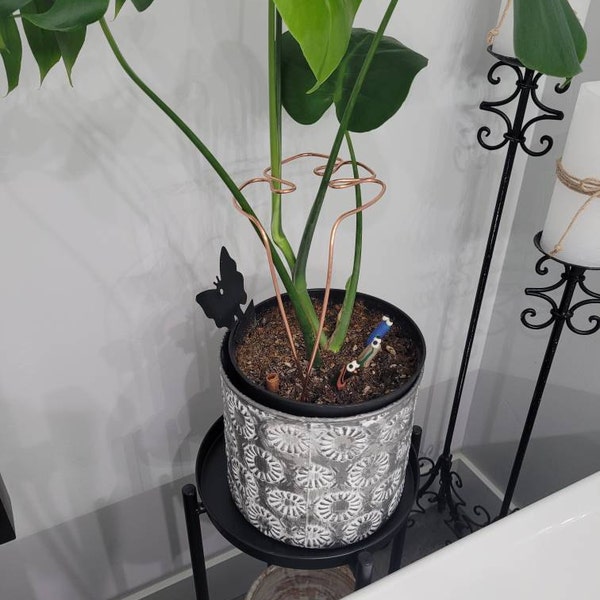 Plant Propagation Side Car Plant Buddy Test Tube Prop Station - Etsy