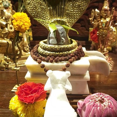 Conch Shell Puja-blowing Shankh Sound Brings Prosperity Positivity ...