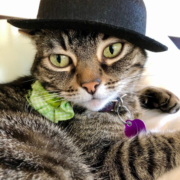 LARGE Black Bowler Cat Hat-- Tough Guy Cat Hat FREE SHIPPING - Etsy