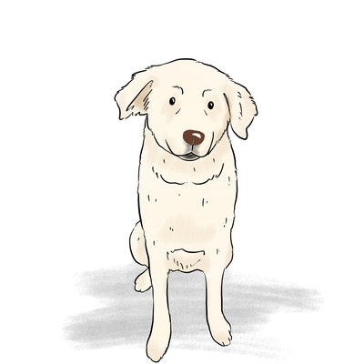 Custom Pet Line Drawing, Digital Pet Outline , Custom Pet Outline ...