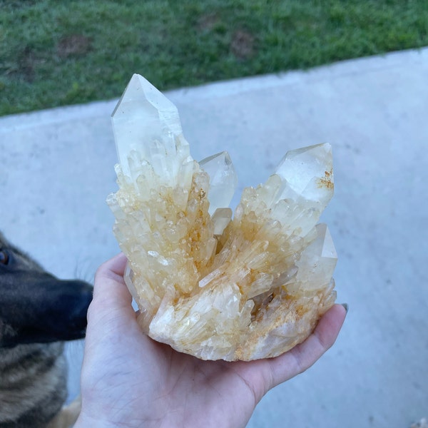 355g Natural Red Agate Geode Crystal Quartz Crystal G505 - Etsy