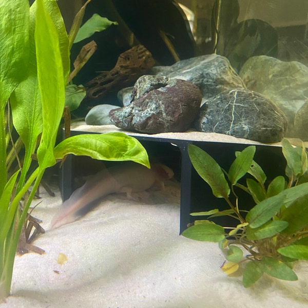 Axolotyl Crayfish Shrimp Aquarium Corner Cave Hide With Viewing Window ...