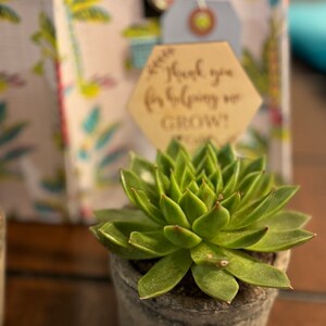 Thank You for Helping Me Grow Succulent Stakes Teacher Gift Plant ...