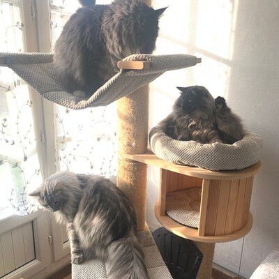 SILVER GREY Chenille Corduroy 5pc Cat Tree Bed Replacement Set - Etsy