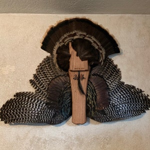State Shaped Turkey Tail/wing Mount - Etsy