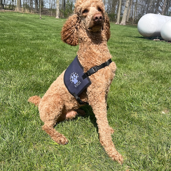 Emotional Support Cat Vest - Etsy