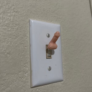 Set of 2 Novelty Light Switch Caps Penis With Balls Prank - Etsy