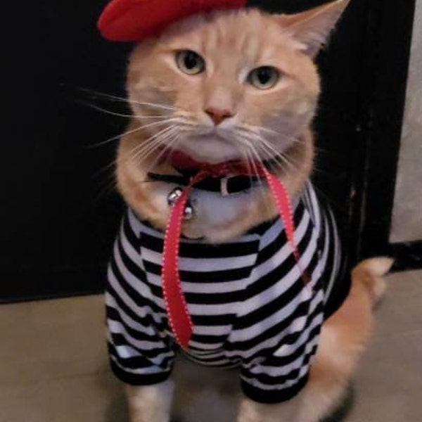 Complete French Cat Outfit- Cat Beret, Ascot and Striped Shirt Pet ...