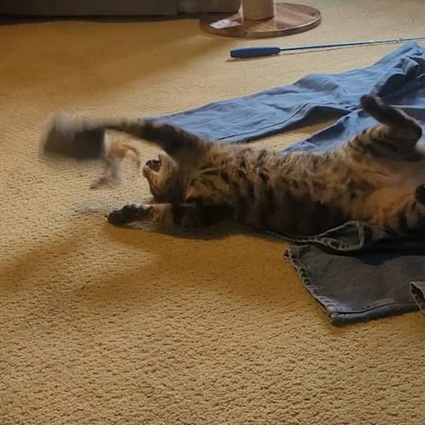 Hemp Fabric and Feathers Cat Kicker Toy With Catnip by Your Choice ...