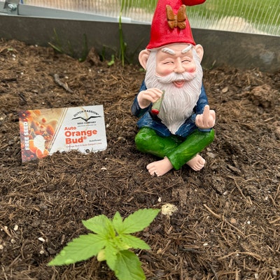 Middle Finger Figurine Blue Smile Middle Finger Statue Resin Bookshelf ...