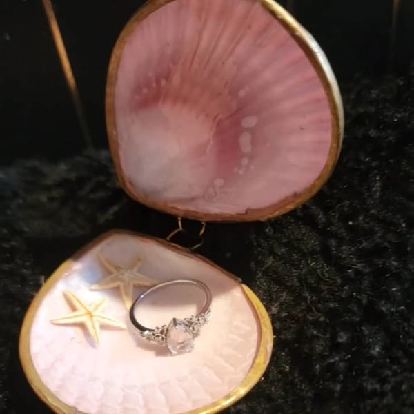 Shell Ring Box - FREE SHIPPING – Real Seashell-beach Wedding Ring ...
