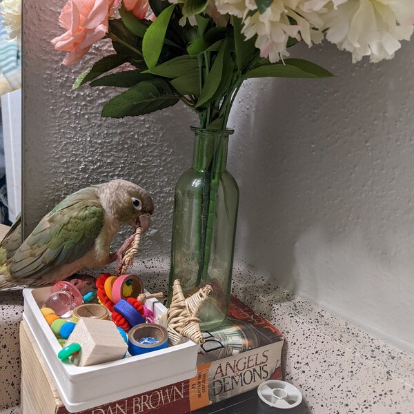 Conure Footies Jar of Foot Toys - Parrot Accessories, Bird Toys ...