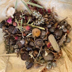 Australian Native Preserved Flower Centrepiece Dried Floral Arrangement ...