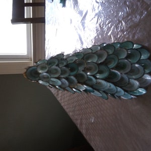 Real Reef CUP Coral Exotic Coral Natural Approx 6 to 9 | Etsy