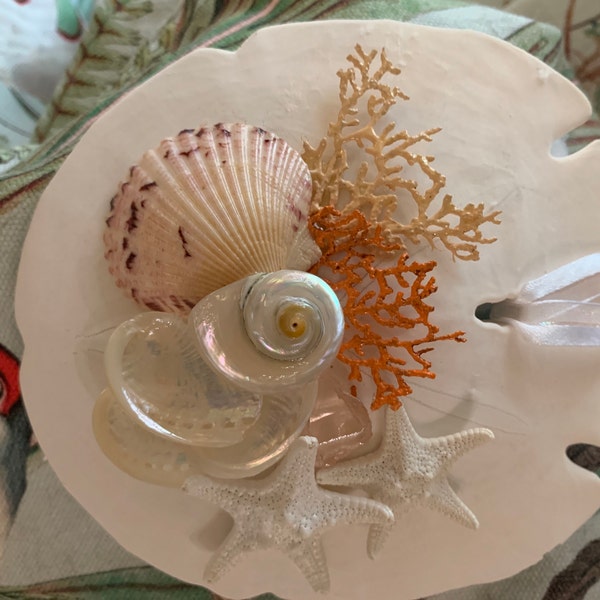 Seashell Wall Decor, Beach Wall Art, Tropical Decor, Shell Wall Hanging ...