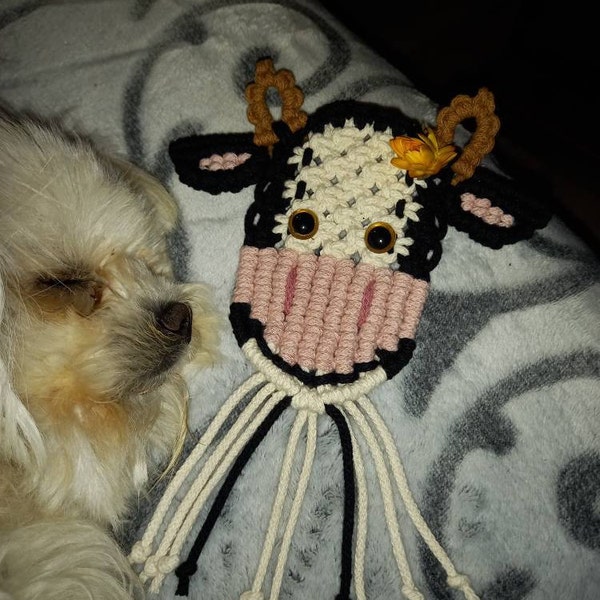 Macrame Cow PDF Pattern Tutorial | Bull Craft | Farm Animal DIY Decor ...