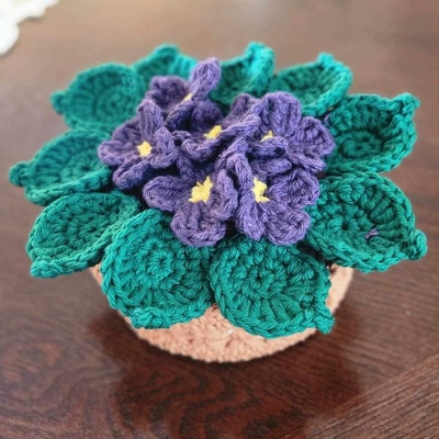 African Violet Crochet Pattern - Etsy