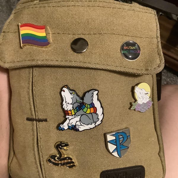 Pride Pun Pins | NB Enby Enbee Transgender Transgendeer Ace Asexual ...