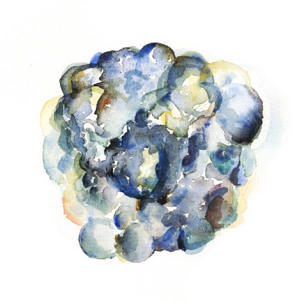 5-day Embryo Art Print - Embryology Watercolor Print - Fertility Doctor ...