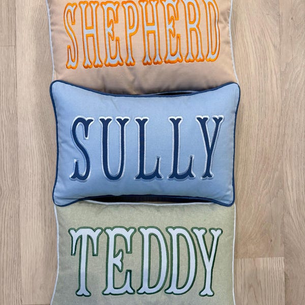 Applique Name or Monogram Pillow INSERT INCLUDED, Personalized Gift ...
