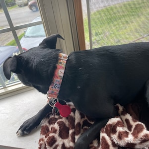 Pink & Purple Patchwork Dog Collar, Unique One of a Kind 1 Inch, 1.5 ...