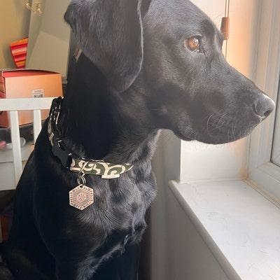 3D Kumo: Japanese Premium Origami Adult Face Mask Black & Gold Cloud ...