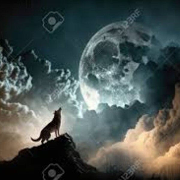 Tessa Witch Halloween Poor Optimized 3.0 Vrchat Avatar Physbones - Etsy UK