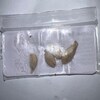 Cucamelon Seeds Heirloom, Open Pollinated, Non GMO Grow Indoors ...