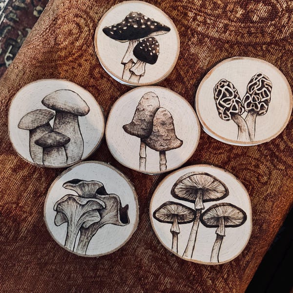 Mushroom Woodburned Coasters - Etsy