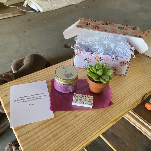 I Miss You Succulent Gift Box, I Miss Your Face, Best Friend Gift Set ...