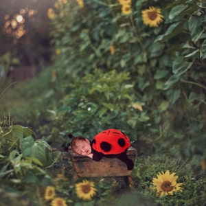 Digital Background Leafy Path - Etsy