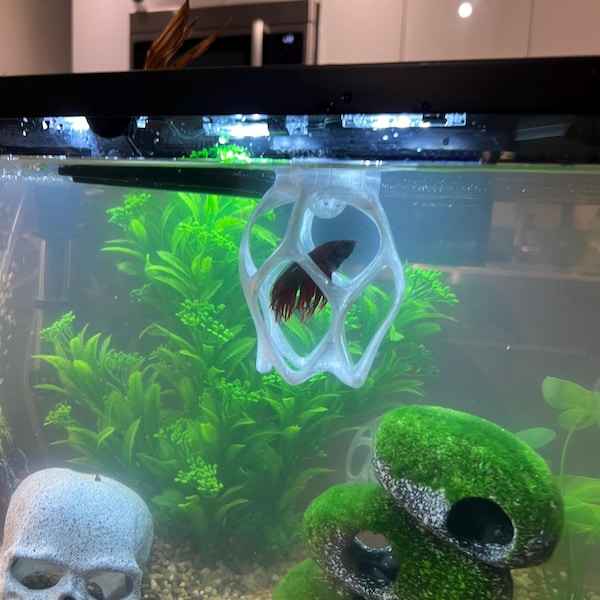 Betta Lair, Aquarium Swim Through Cave Decoration for Aquatic Pets ...