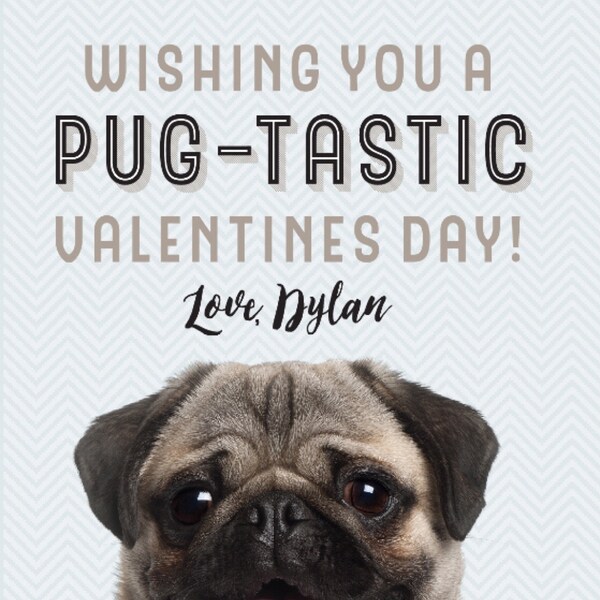 PRINTABLE Pug Valentine Card for Kids Personalized Valentines Day Cards ...