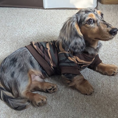 SECURITY Dog Sweatshirt Hoodie Dog Sweater Dog Jumper Printed Dog ...