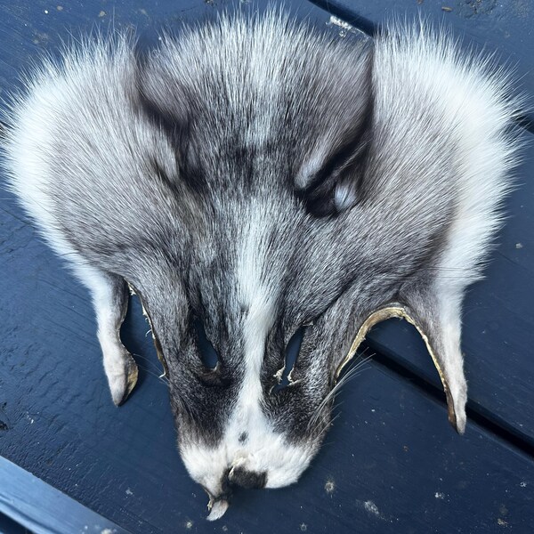 Real Luxury Fox Pelt , Red Fox Pelt ,genuine Fox Pelt , 100% Red Fox ...