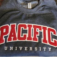 CUSTOMIZABLE Embroidered Hoodie, University Hoodies, College Hoodies ...
