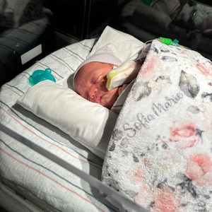 Eucalyptus Greenery Drop Wallpaper, Peel and Stick Removable or ...