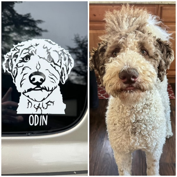 Pet Sticker/dog Car Decal/ Gift for Pet Lover/gift for Pet Owner ...