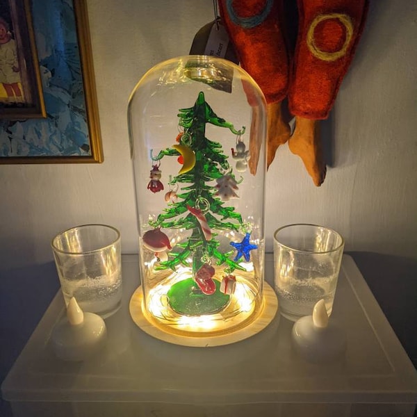 LED Glass Dome Tabletop Display Case | Flower Glass Dome | Preserved ...