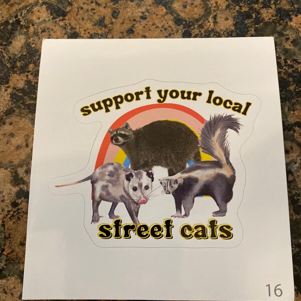 Hot Girls Have IBS Bumper Sticker | Gen Z Funny Pink Cute Car ...