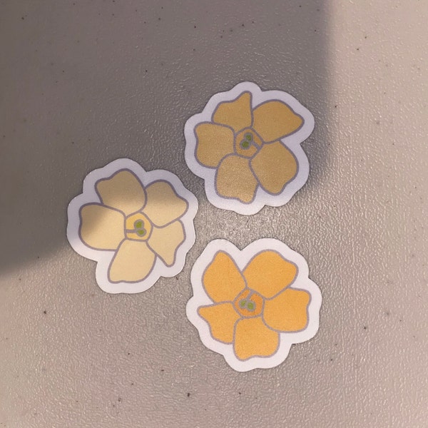 Choose Aloha Rainbow Sticker, Teal - Hawaii Sticker - Aloha Sticker ...