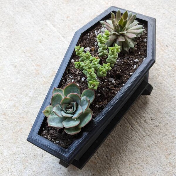 Coffin Mini Planter & Stand, Goth Succulent Planter Decor, Indoor ...